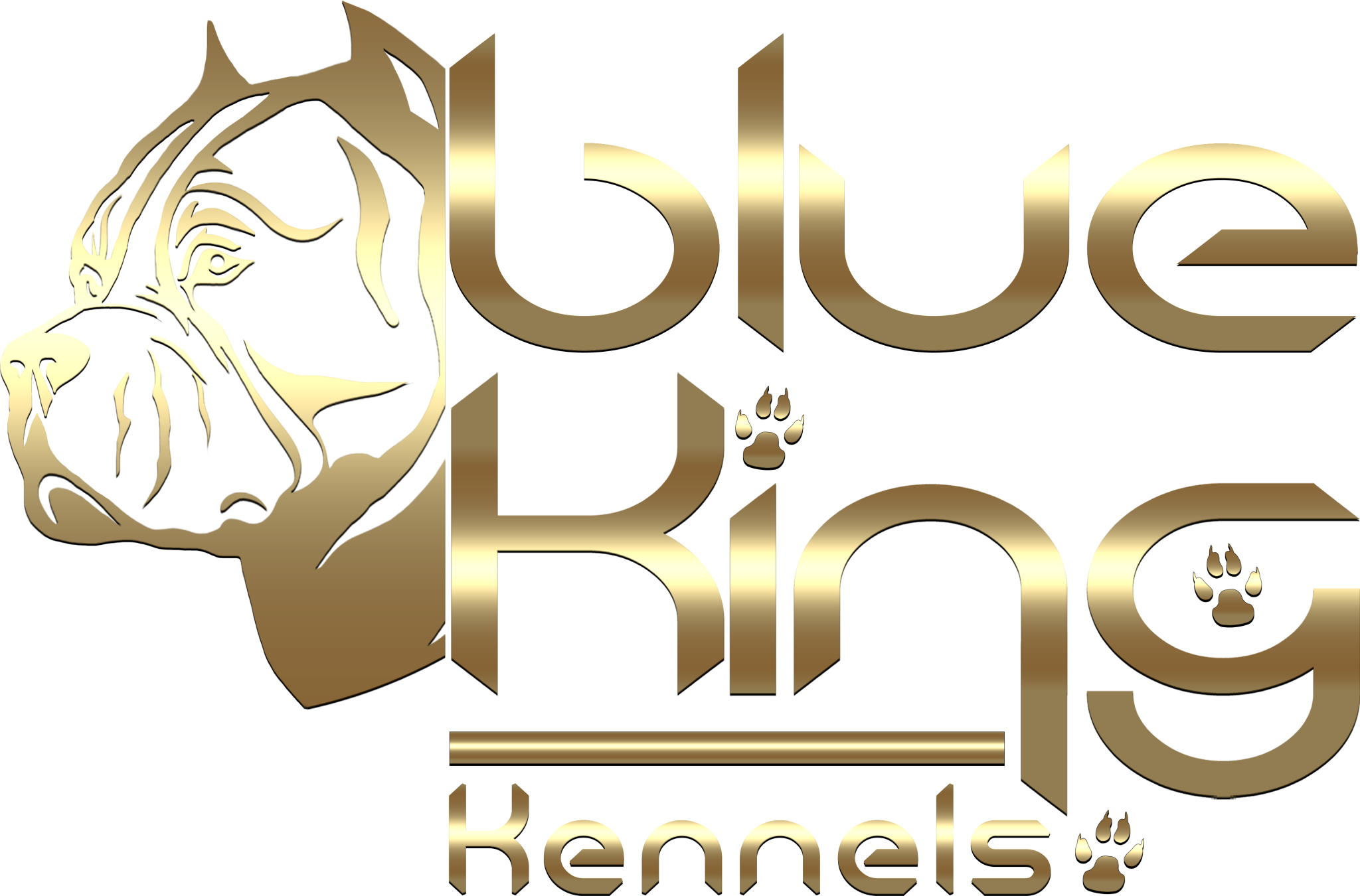 Blue King Kennels- No #1 American Bully Breeder